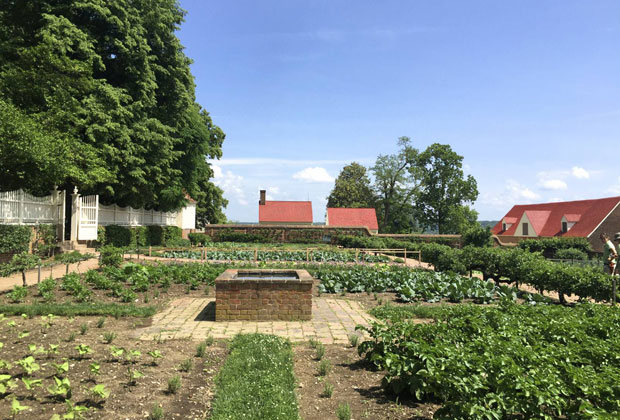 Colonial Garden Inspiration